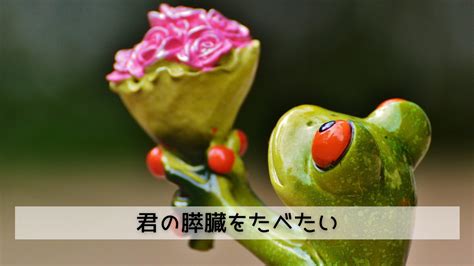 ～君の膵臓をたべたい～