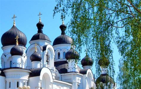Лоза Истинная. Опыт Преодоления Зависимости.