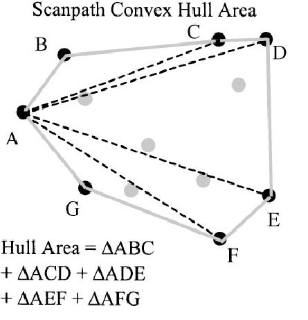 Example Area Generated By Convex Hull Algorithm Download Scientific Diagram