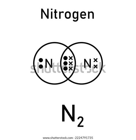 Dot Cross Diagrams Simple Covalent Molecules Stock Vector Royalty Free Shutterstock