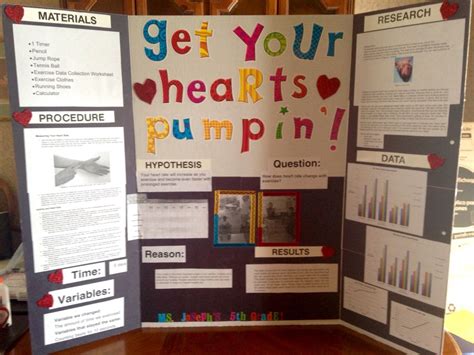 Heart Rate Science Experiments Illustration Katherine