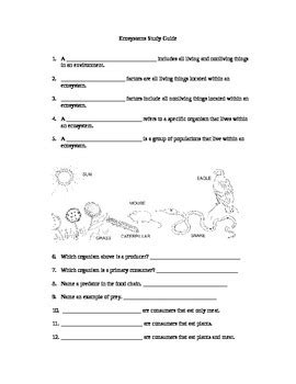 Ecosystems Study Guide By Jeremy Rinder TPT