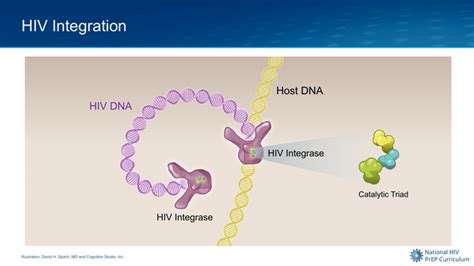 Rationale For Providing Hiv Prep In Sexual Health Clinics Providing Hiv Prep In Sexual Health