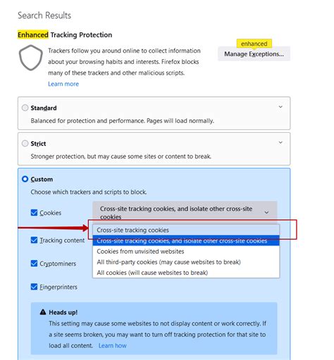 Tab Iframe Does Not Allow Storage Access Api Activation · Issue 1280