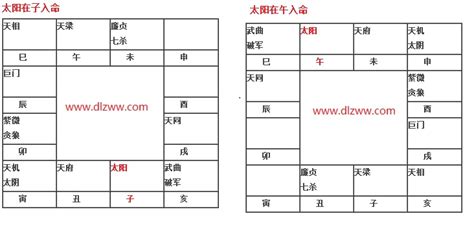 太阳坐命在子午宫（令东来编写，新版本） 令东来官网紫微斗数东来紫微网紫微斗数 令东来紫微 玄门信息咨询