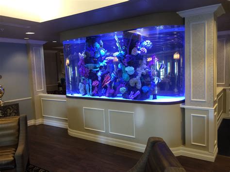 1200 Gallon Race Track With Faux Reef Aquarium Maintenance Las Vegas