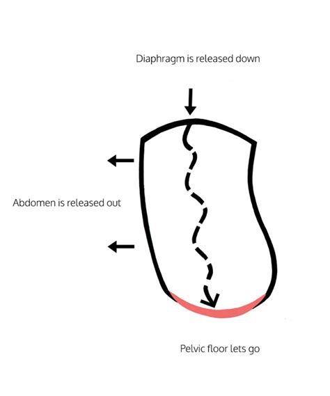 Pelvic Floor Release Pelvic Physiotherapy