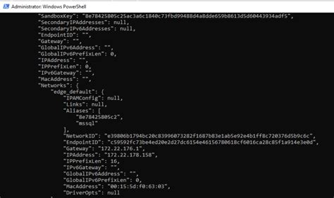 How To Reset The Sitecore Admin Password Inside A Docker Container