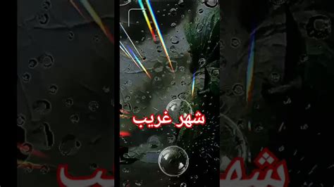 یارا در این شهر غریب Shorts مهدی Youtube