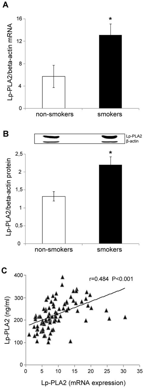 A Mrna Was Analyzed By Quantitative Real Time Pcr Normalized Gene