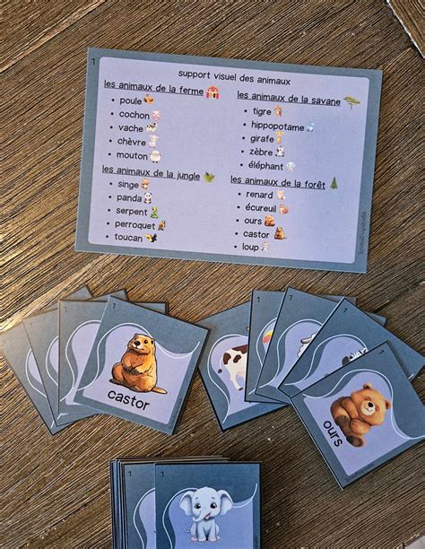 Explore Les Animaux Classification