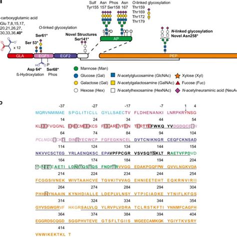 Domains Modifications And Sequence Coverage Of Human Serum Derived