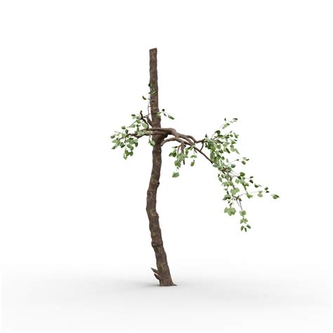 D Tree Models BlenderKit