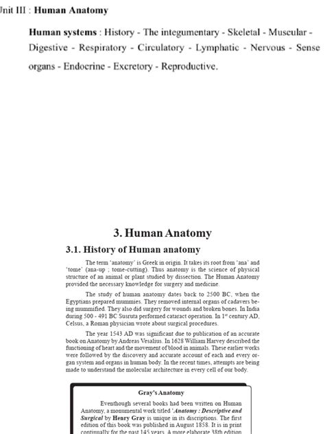 Human Anatomy Pdf Vertebra Vertebral Column