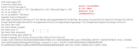 协议1后端片段标识符 Csdn博客
