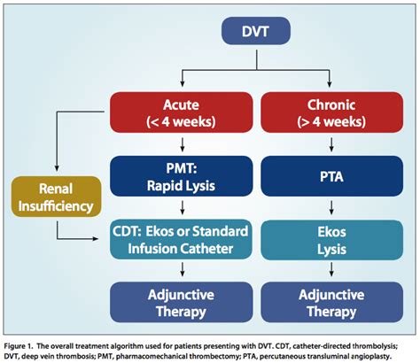 Endovascular Today A Treatment Algorithm For Dvt July 2014