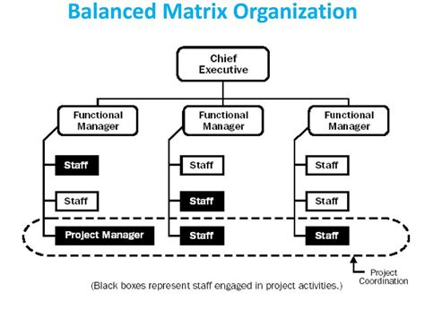Organizational Influences And Project Life Cycle Ppt Download
