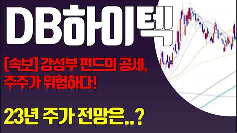 Db하이텍 주가전망 ㅣ강성부 펀드의 공세 주주가 위험하다 Youtube