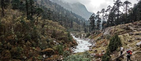 Kanchenjunga Base Camp Trek Nepal Trekking Tours World Expeditions