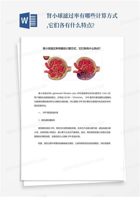 肾小球滤过率有哪些计算方式 它们各有什么特点 Word模板下载 编号qadyppzj 熊猫办公