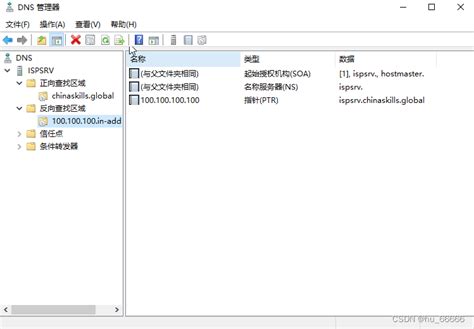 Dns解析拓扑中所有主机的dns查询请求都应由ispsrv进行解析 配置dns安全策 略限制dns查 Csdn博客