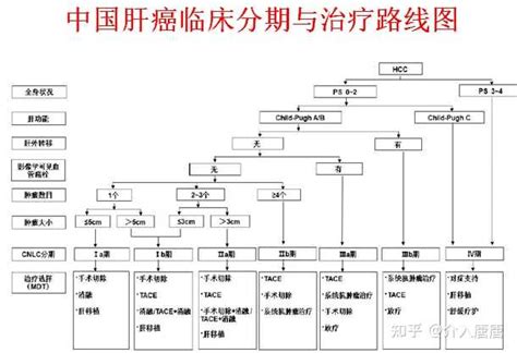 肝癌晚期的治疗方法和肝癌早期有哪些不同？ 知乎