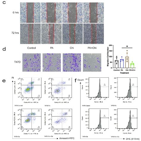 A Proliferation Curves Of T47d Cells Treated With Proanthocyanidins