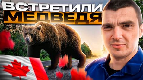 В поисках медведя! ШОК КОНТЕНТ! Черный медведь в парке где были люди ...