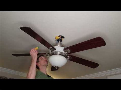 HOW TO REMOVE A CEILING FAN YouTube
