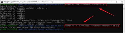 Linux Windows安裝wsl2 Ubuntu2204 Docker Oracle