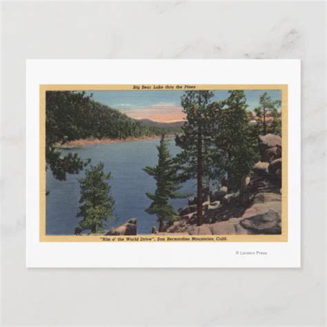 View Of The Lake Through The Pines Postcard Zazzle