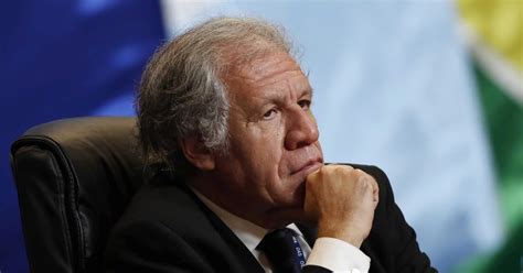 Investigan Al Secretario General De La Oea Por Su Relación Con Una