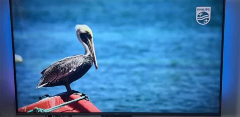 Philips 55pus810862 Tv Has White Dots Flashing On The Screen Xolvie