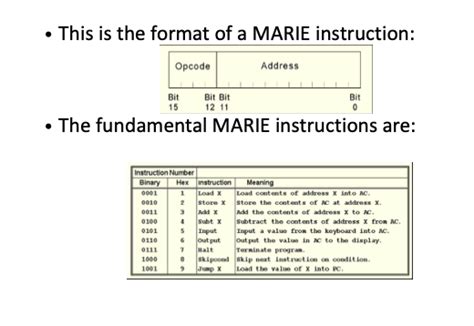 Solved Using Marie Instructions Write The Assembly Language