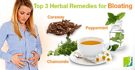 Top 3 Herbal Remedies For Bloating Menopause Now