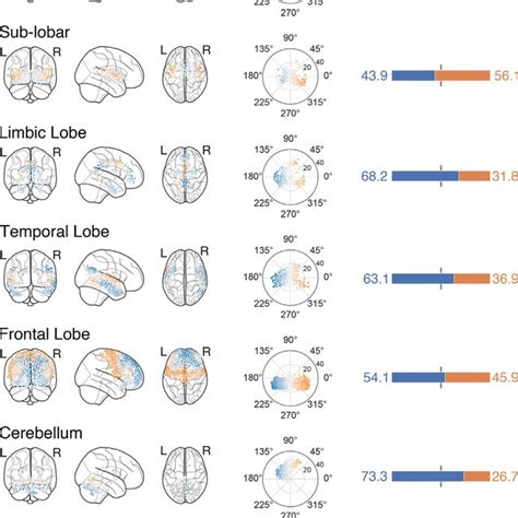 Mapping Neurosynth Meta Analysis Terms To The Rest2vec Embedding Glass Download Scientific