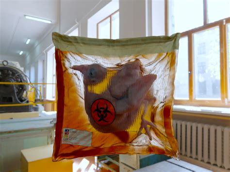 How Do You Import Rar Files R Blender