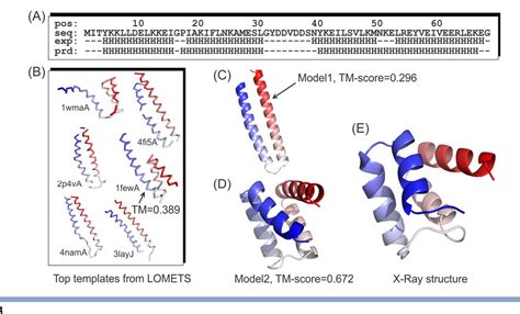 Figure 3 From Template Based Protein Structure Prediction In Casp11 And