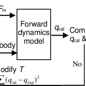 Flow chart of using the forward dynamics model to estimate ACL force ...