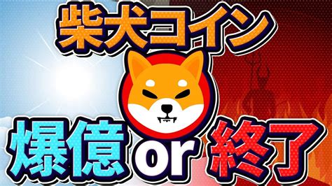 【柴犬コインshib】〇〇〇が爆上がりで急騰シグナル発令中！2021年並みの高騰予感 Youtube