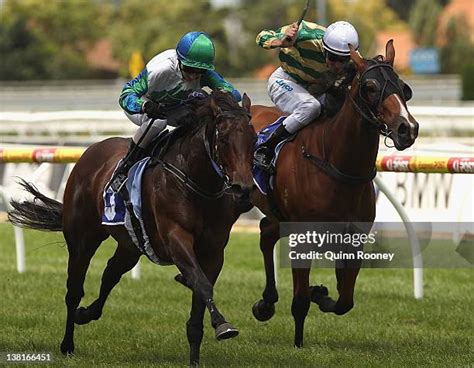 29 Katelyn Quinn Photos And High Res Pictures Getty Images