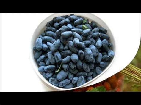 Вадим Зеланд - Живая Книга - Живая Кухня ч 1 - YouTube