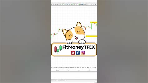 ข้อดีของการเทรด Tfex ด้วย Mt4 คือ เก็บสถิติด้วย Myfxbook และ Mql5