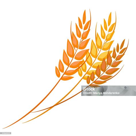 穀物と小麦のスパイク茎全体分離ベクターイラストレーション アイコンのベクターアート素材や画像を多数ご用意 アイコン
