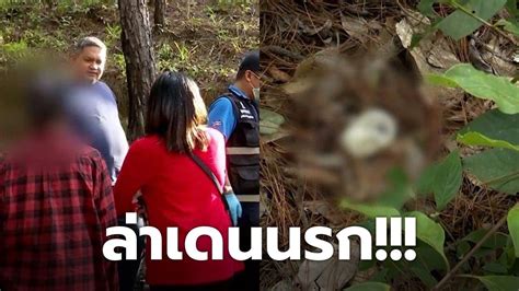 ตร ล่าตัวชาย 21 คน เดนนรก เวียนข่มขืนสาว 14 กลางป่า เผยมีนายหน้าจัด