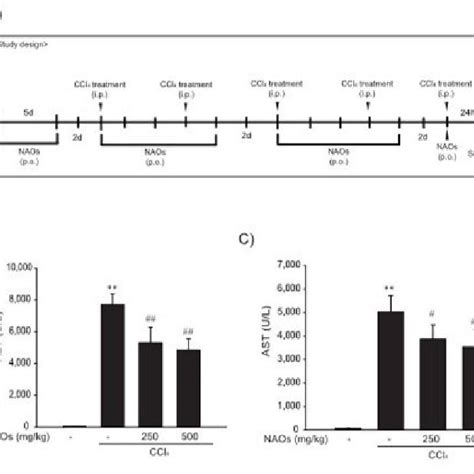Inhibition Of Ccl4 Induced Liver Fibrosis By Neoagarooligosaccharides