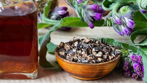 Cele Mai Eficiente 3 Plante Medicinale Pentru Reumatism Faunus Plant