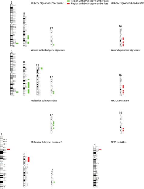 Table 1 From Refinement Of Breast Cancer Classification By Molecular