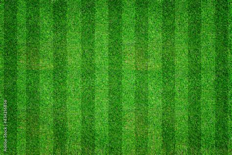 Soccer Field Grass Texture