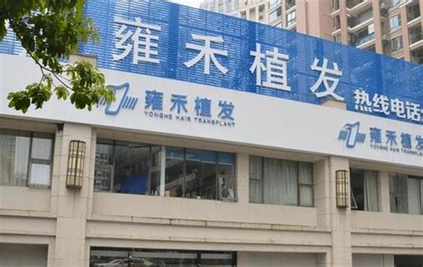 雍禾植髮ipo：去年花78億拉新25億脫髮人口是真市場還是偽剛需 每日頭條